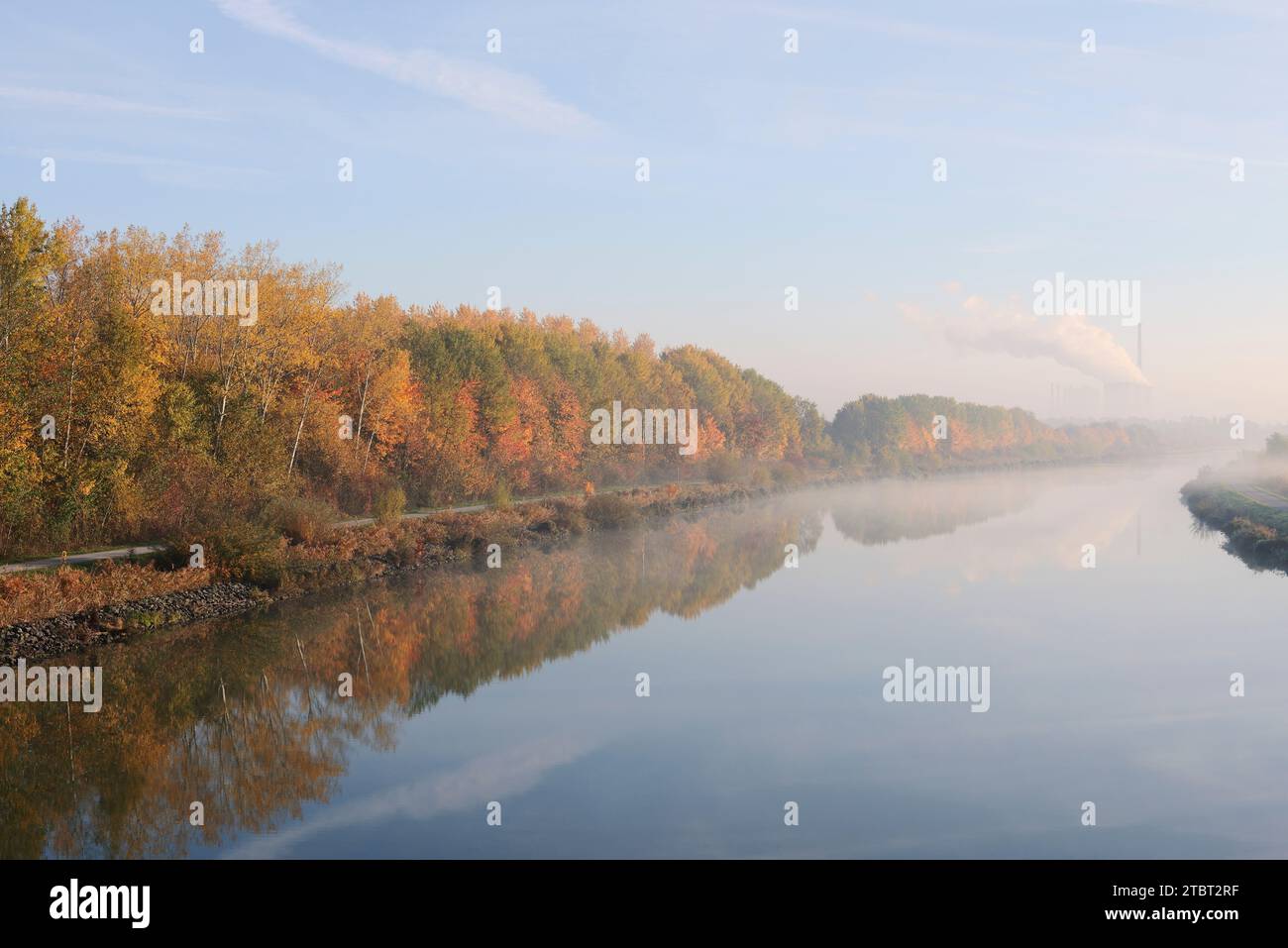 Deciduous trees along the Datteln-Hamm Canal in fall, North Rhine ...