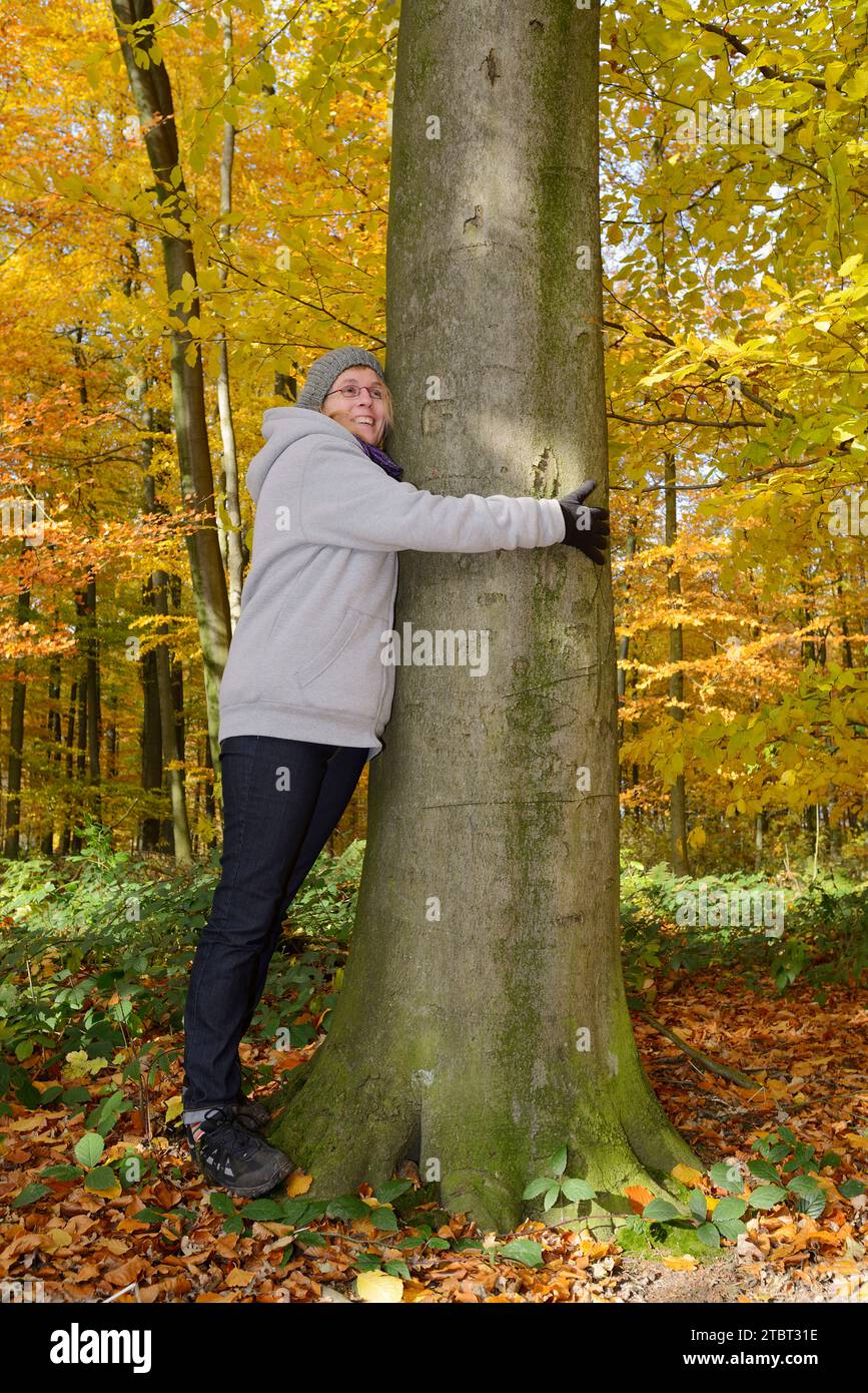 Woman hugging copper beech fagus sylvatica in fall hi-res stock ...