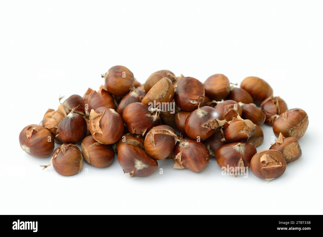 Beech nuts cut out hi-res stock photography and images - Alamy