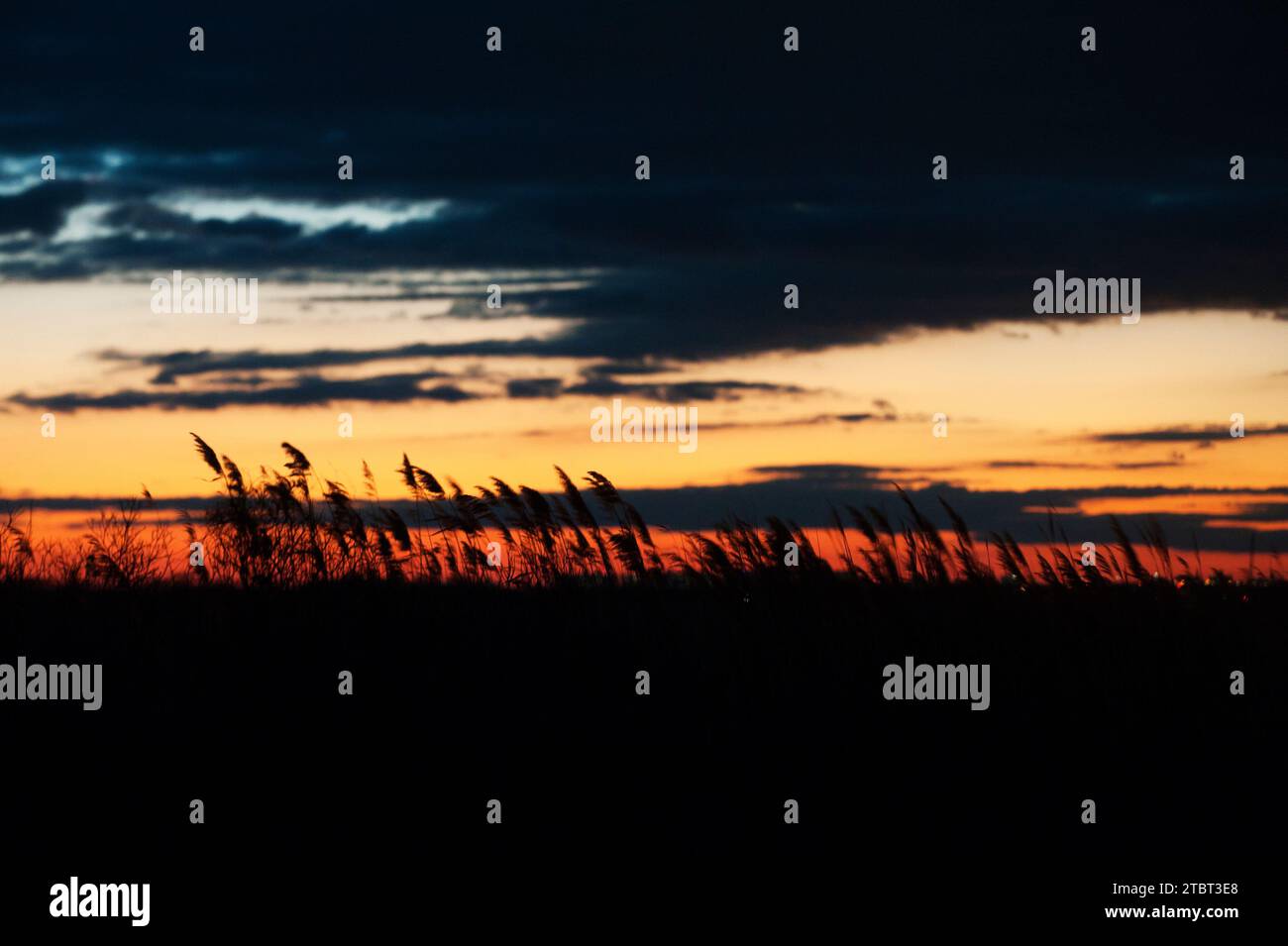 Sunset sky with evening clouds Stock Photo - Alamy