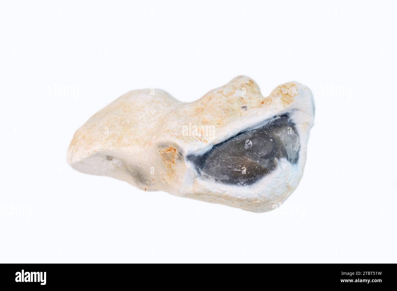 Silex hi-res stock photography and images - Alamy