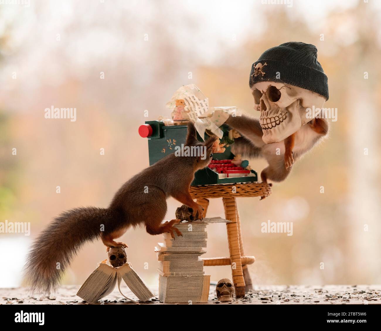 Red squirrels with a typewriter and skull hi-res stock photography and ...