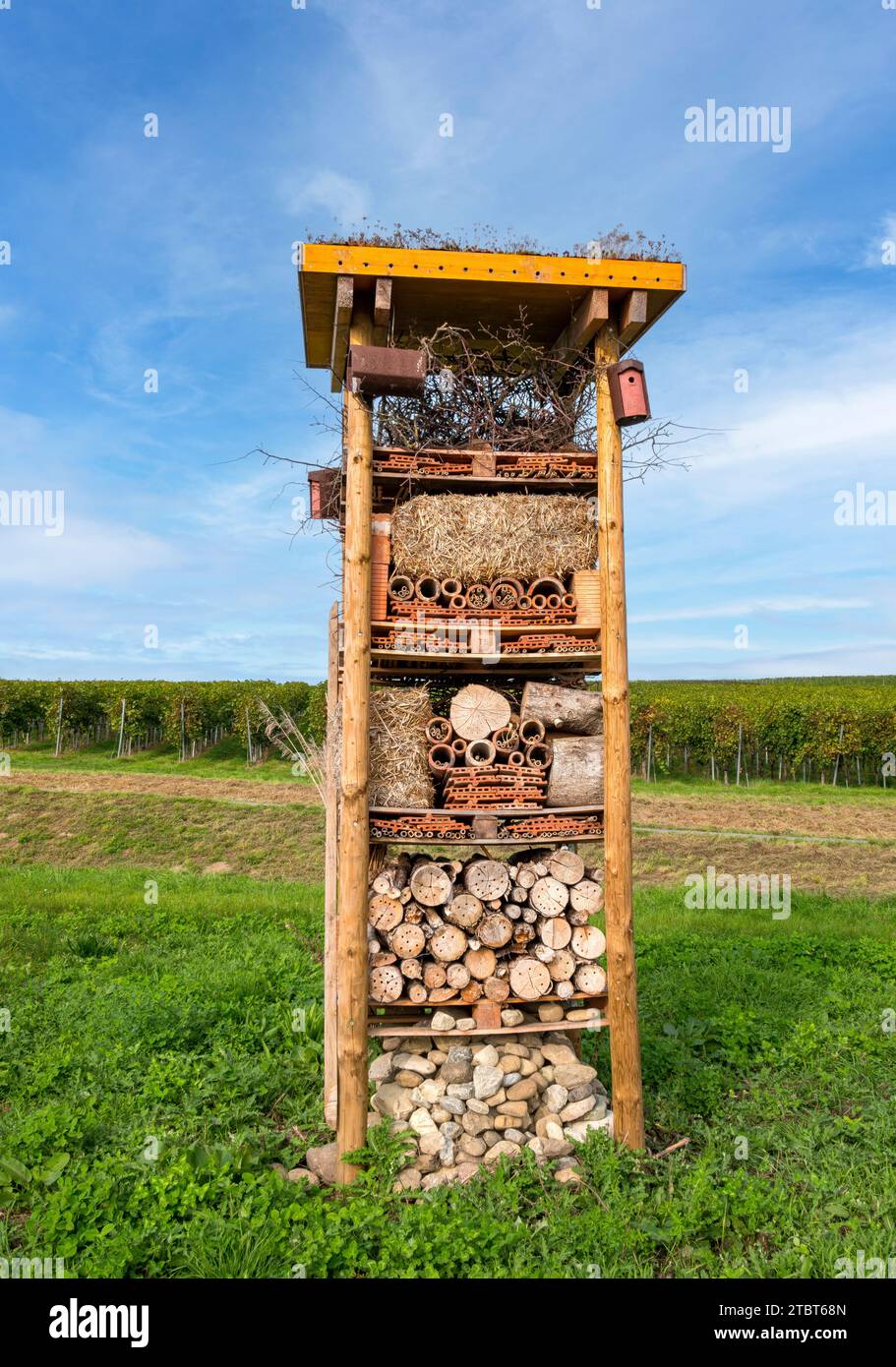 Insect hotel near the Birnau pilgrimage church, Uhldingen-Mühlhofen on ...