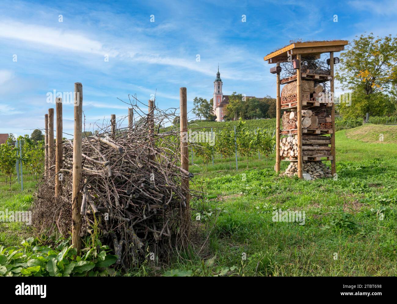 Insect hotel near the Birnau pilgrimage church, Uhldingen-Mühlhofen on ...