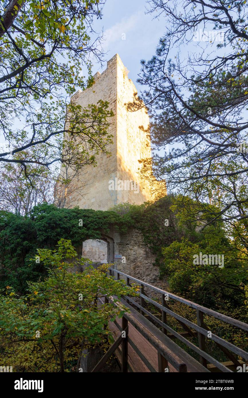 Tower bergfried of rauheneck castle hi-res stock photography and images ...