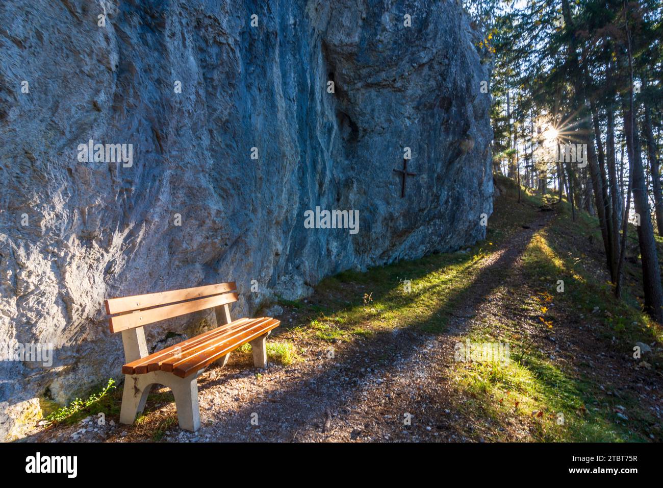 Bench in the vienna alps hi-res stock photography and images - Alamy