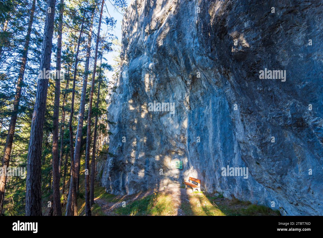 Bench in the vienna alps hi-res stock photography and images - Alamy