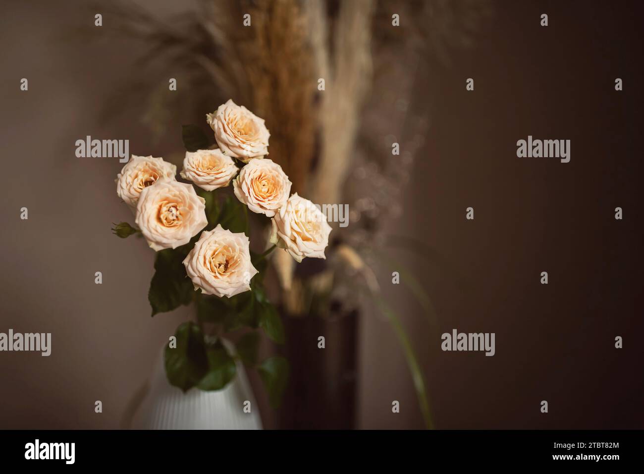 Boho roses hi-res stock photography and images - Alamy