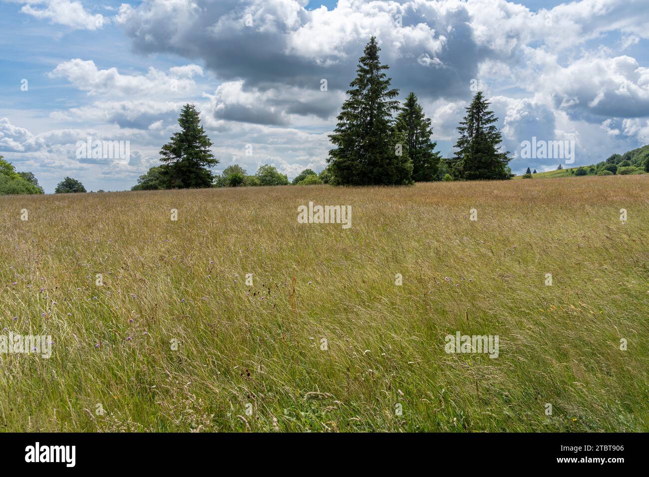 Rhön landscape at the Heidelstein in the Lange Rhön, Rhön Biosphere ...