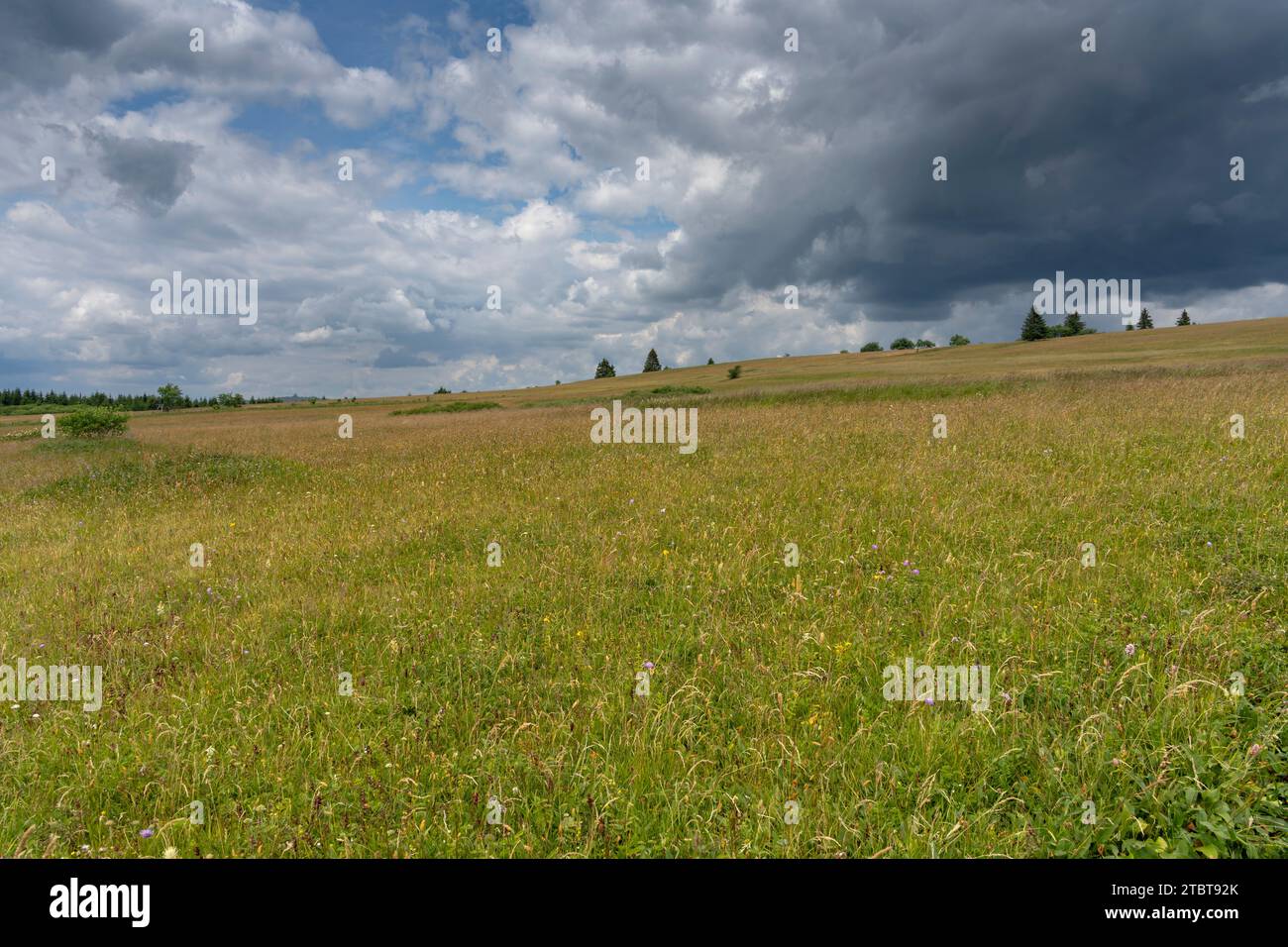 Rhon landscape at the heidelstein in the lange rhon hi-res stock ...