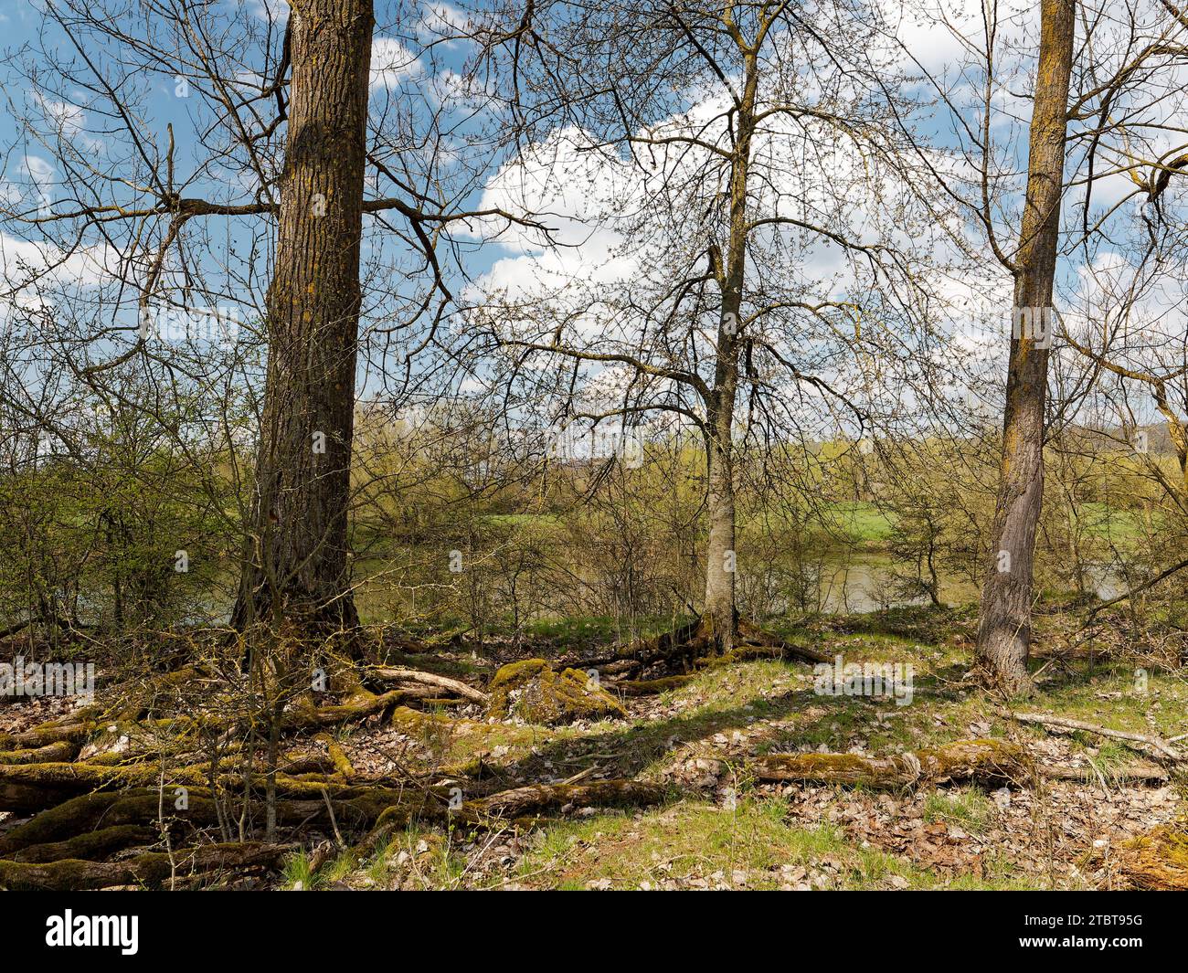 Altmain nature reserve and sandy grassland near Limbach, Hassberge ...
