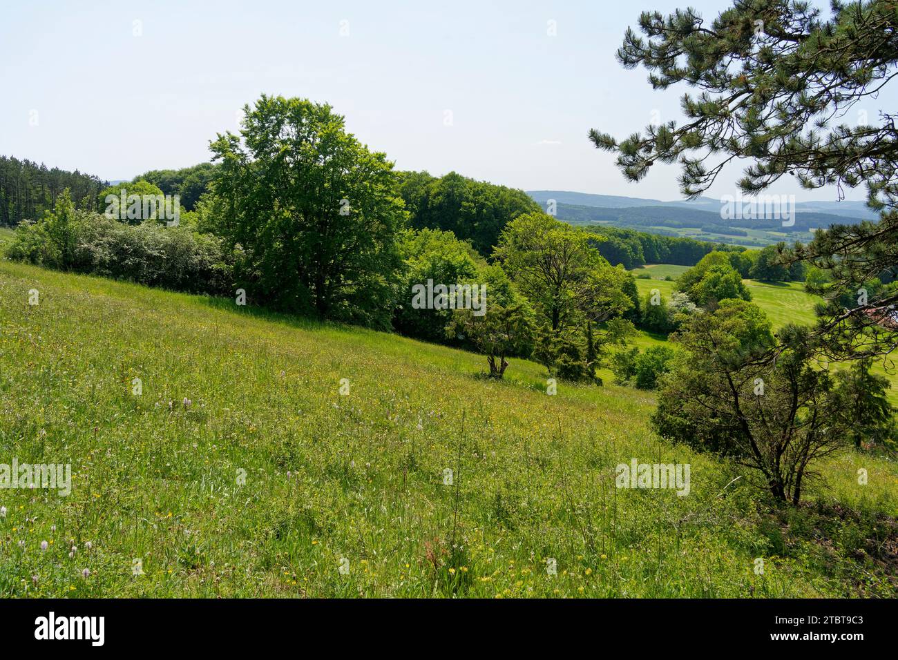 Landscape at giebelrain near dietershausen hi-res stock photography and ...