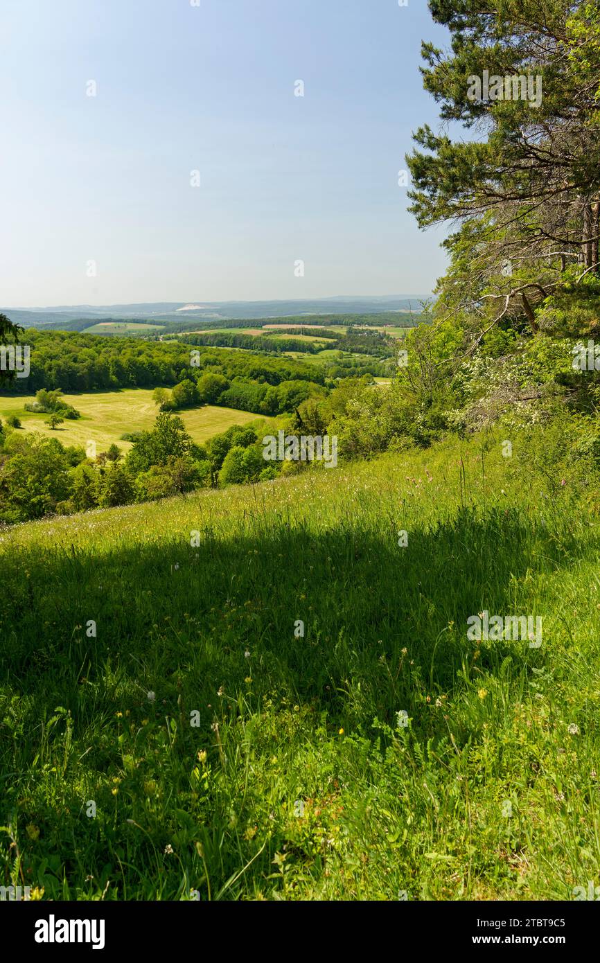 Landscape at Giebelrain near Dietershausen, Rhön Biosphere Reserve ...
