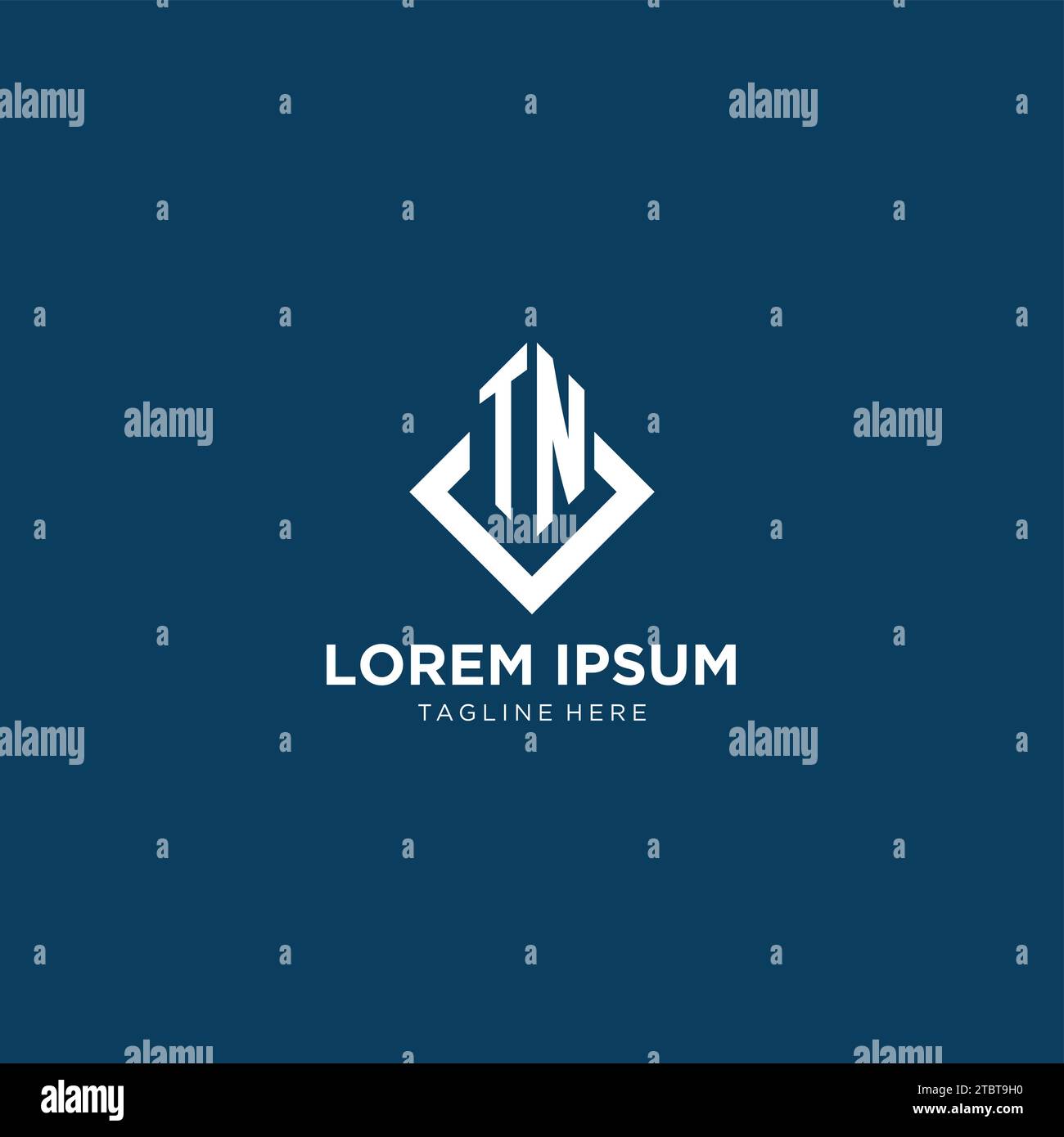 Initial TN logo square rhombus with lines, modern and elegant logo ...