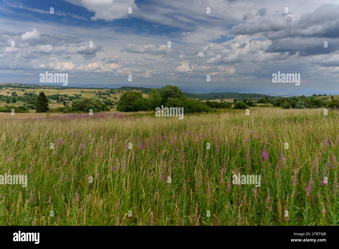 Rhon landscape at the heidelstein in the lange rhon hi-res stock ...