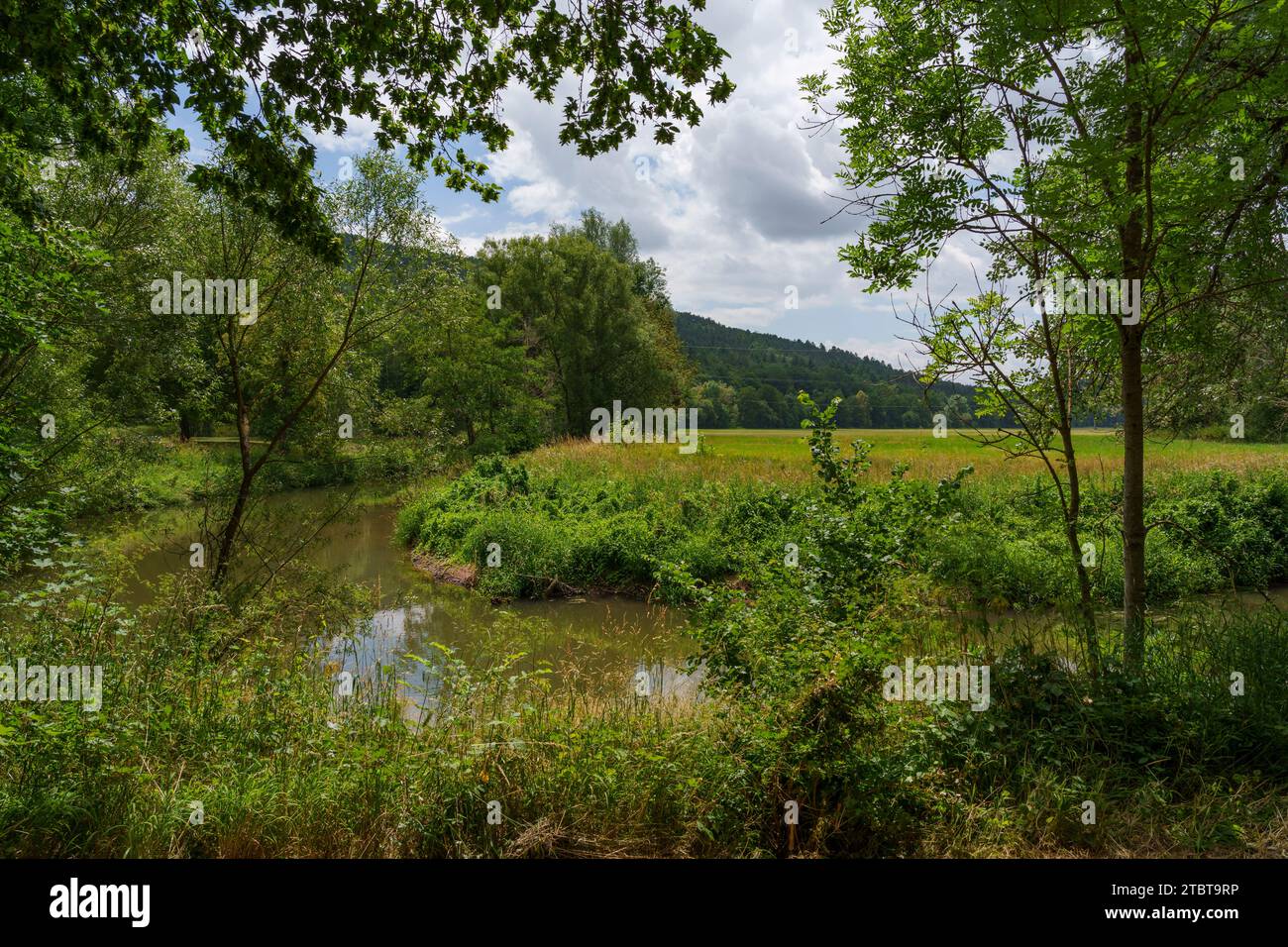 Spa park in the Bavarian State Spa Bad Bocklet, Bad Kissingen district ...