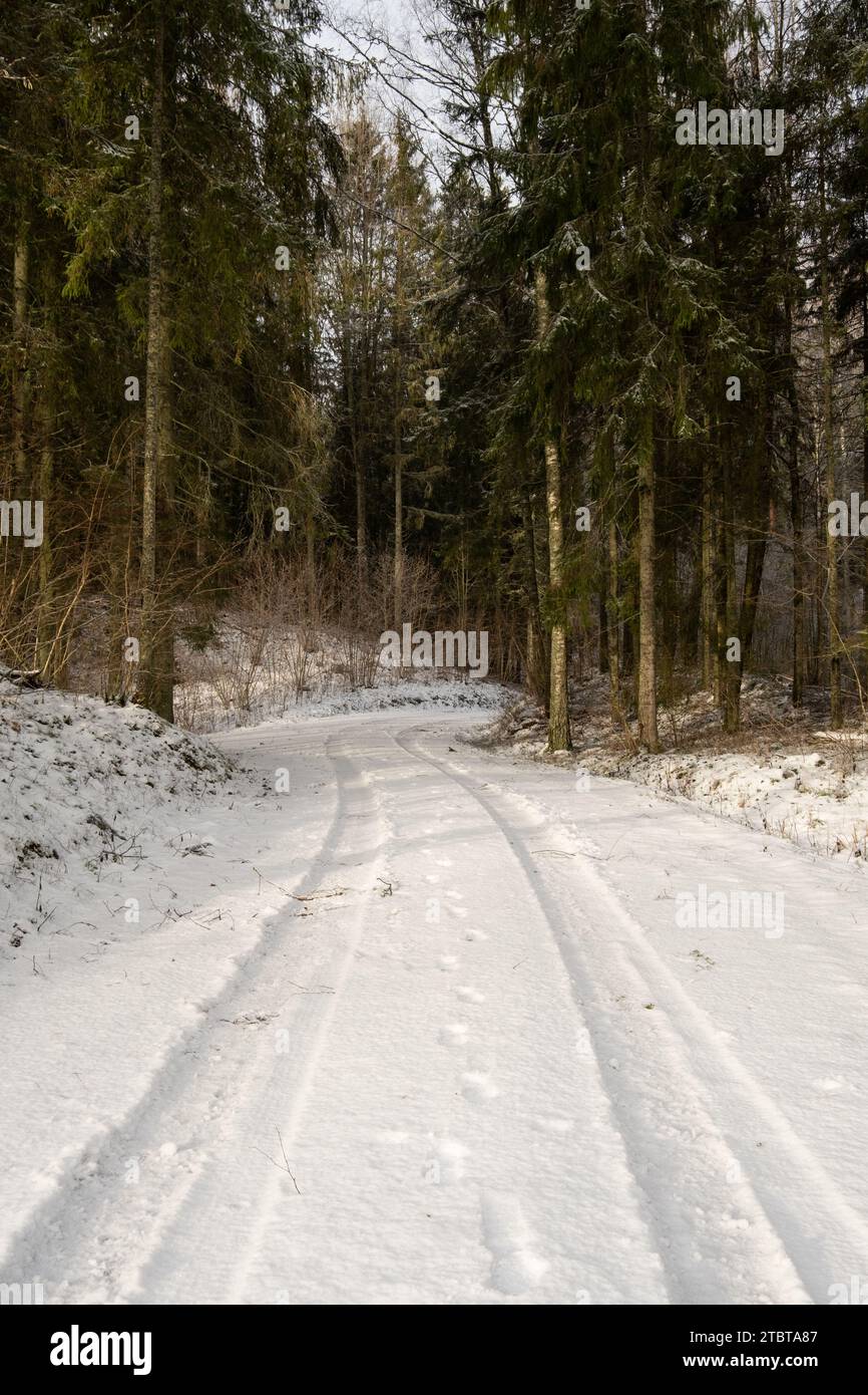 Tire imprints leave a trail of exploration, a symphony of tracks on ...