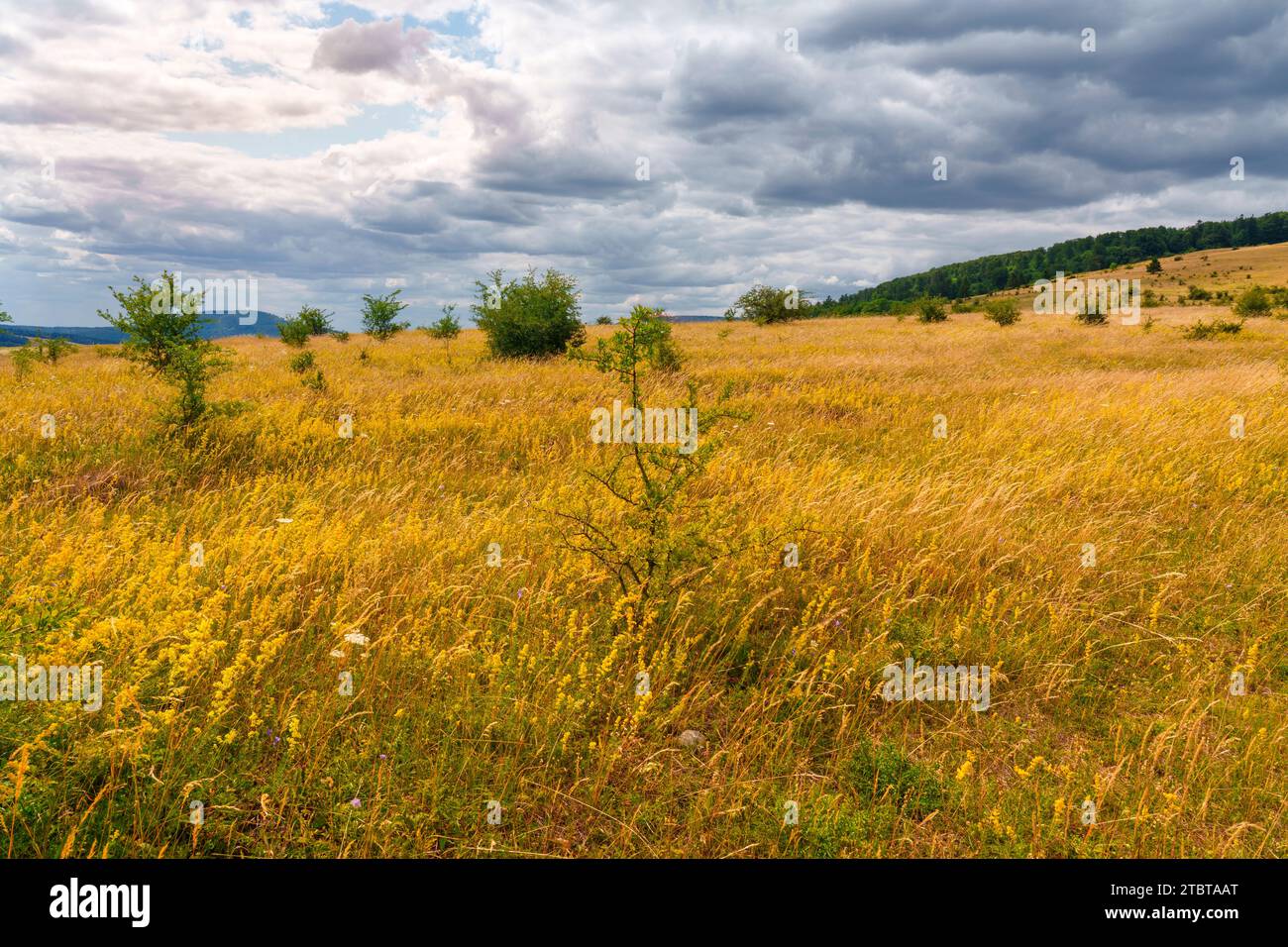 The arnsberg in the rhon biosphere reserve hi-res stock photography and ...