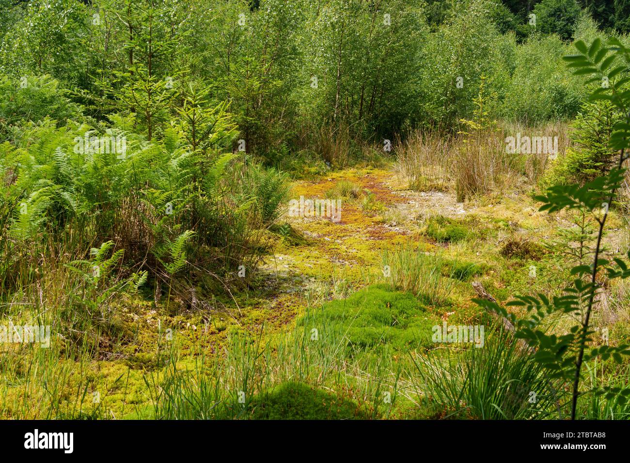 Florsbach village hi-res stock photography and images - Alamy