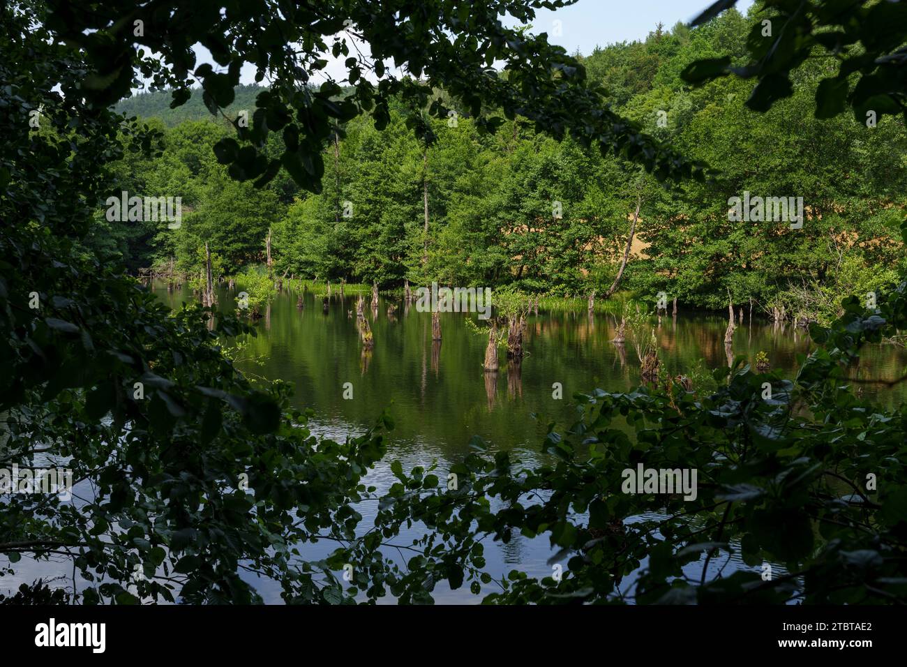 Biebergemund municipality hi-res stock photography and images - Alamy