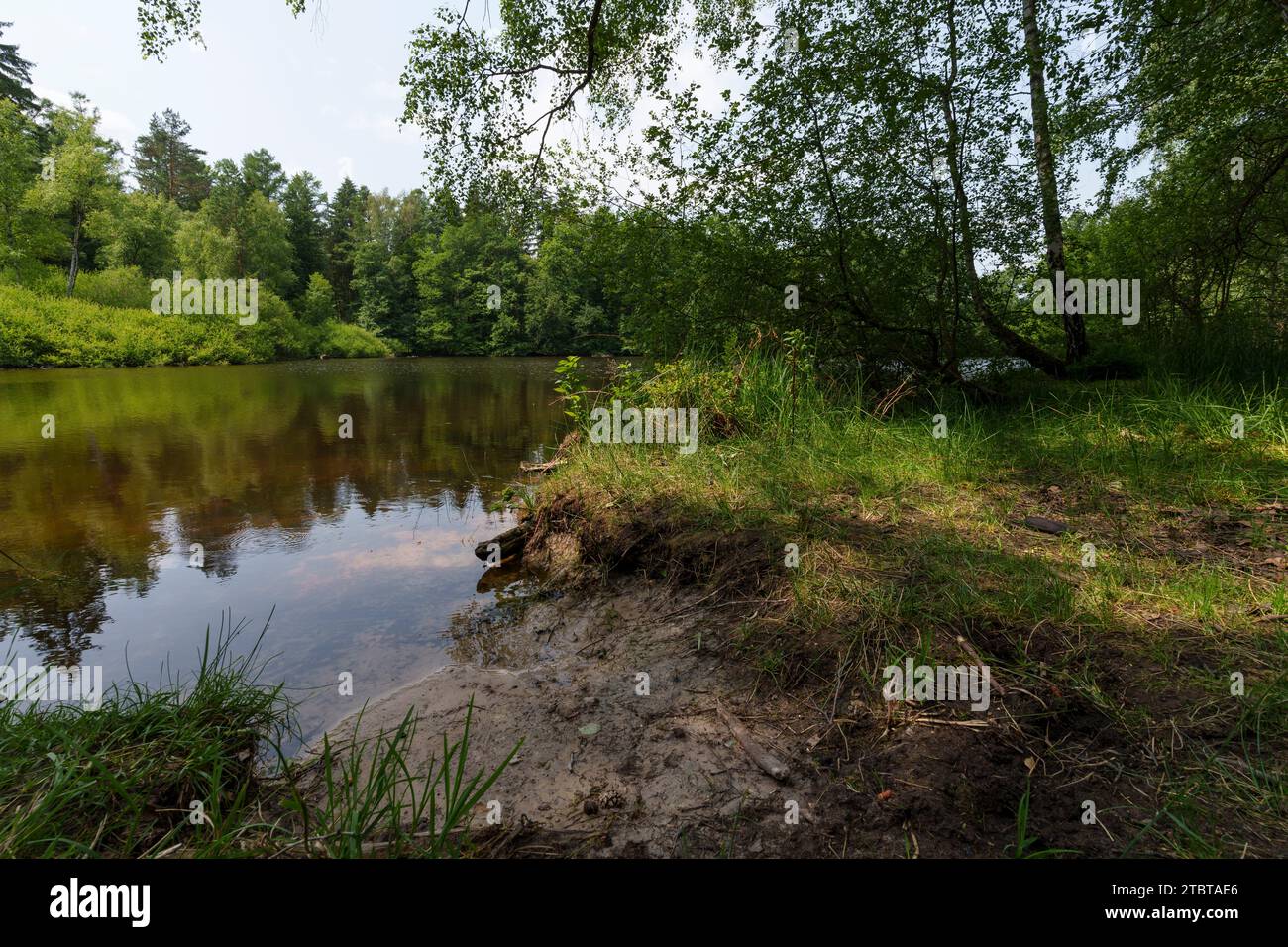Wiesbüttsee nature reserve between the villages of Wiesen and Flörsbach ...