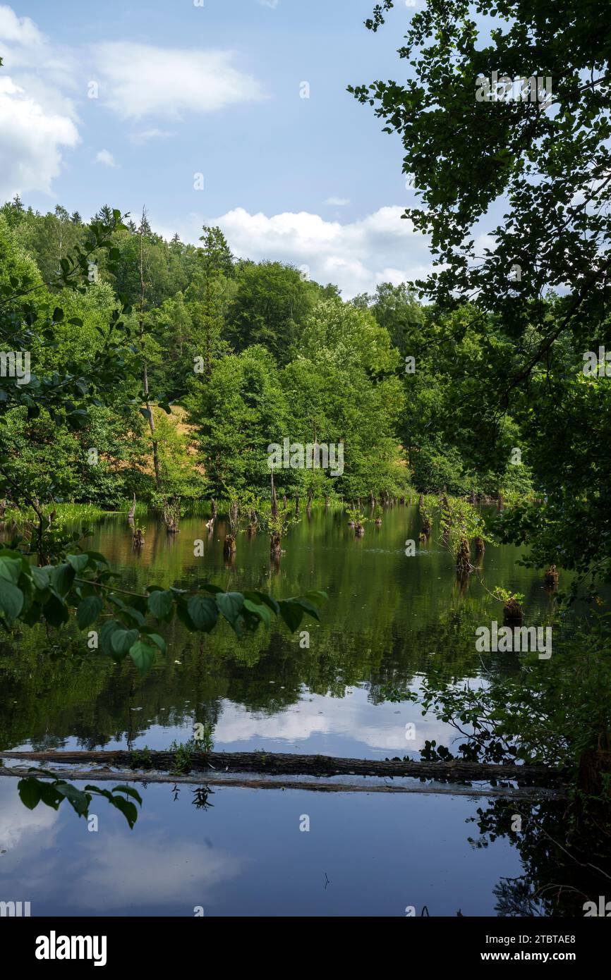 Biebergemund municipality hi-res stock photography and images - Alamy