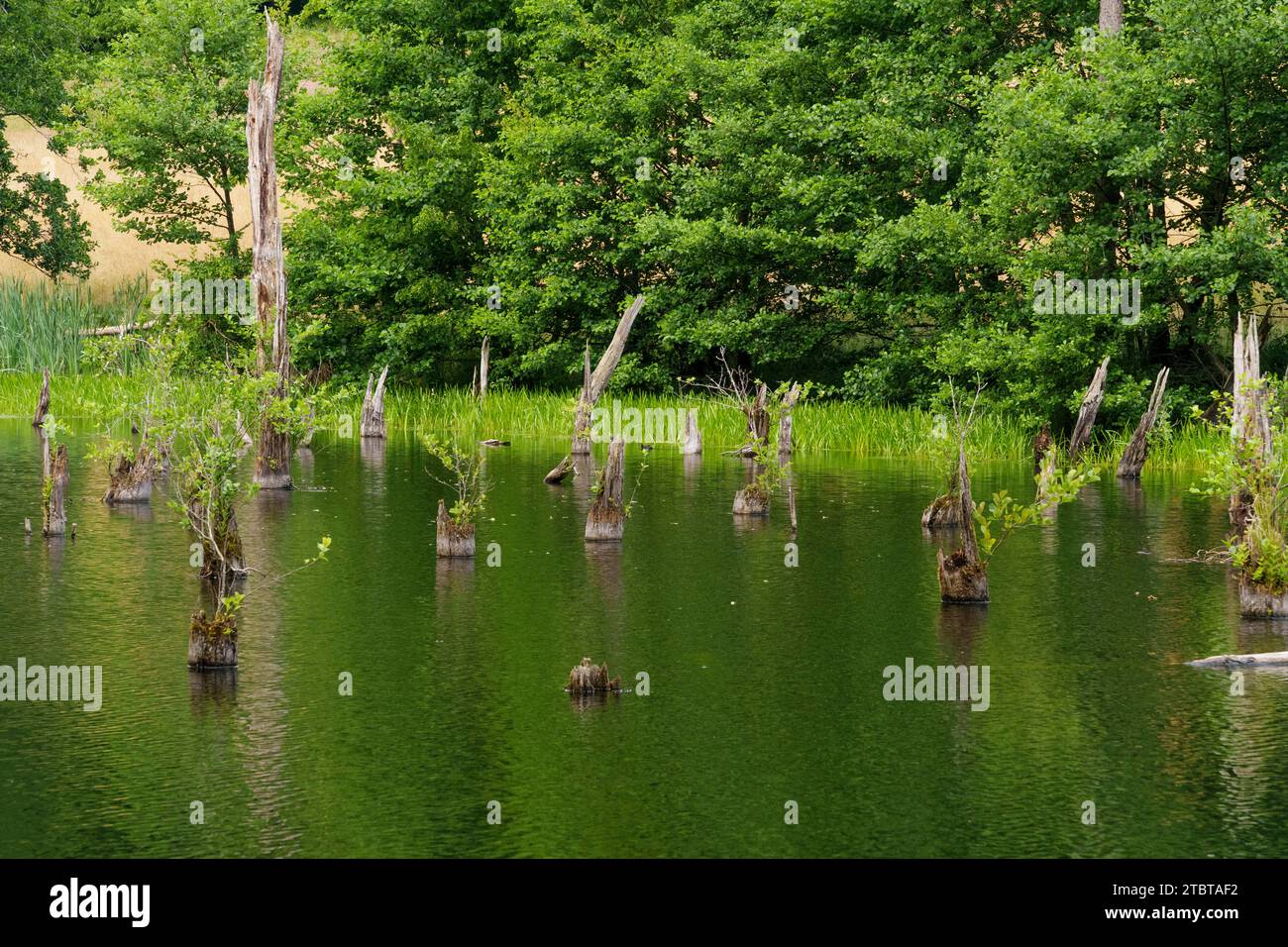 Biebergemund municipality hi-res stock photography and images - Alamy