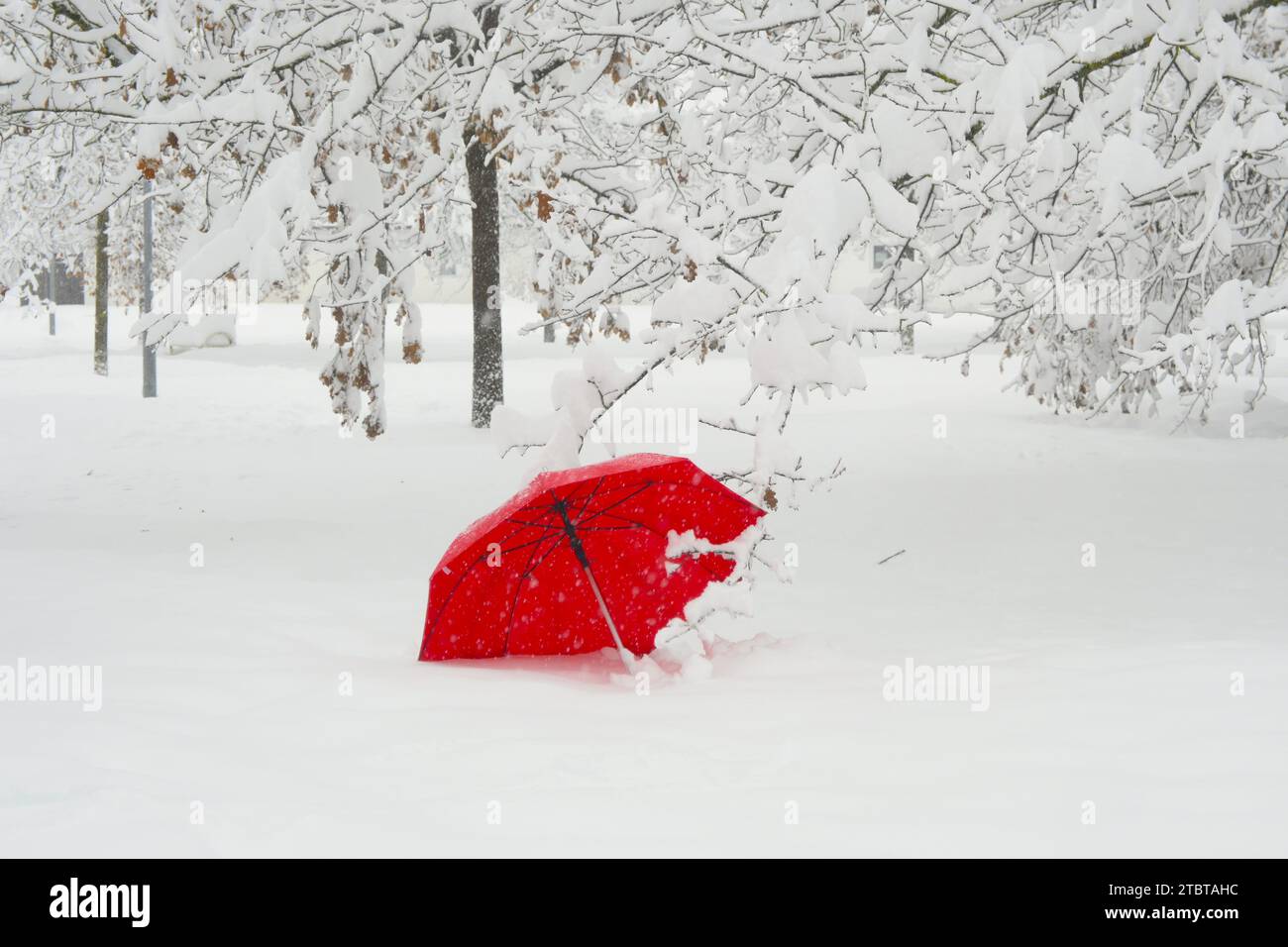 Photo of red umbrella in the snow hi-res stock photography and images - Alamy