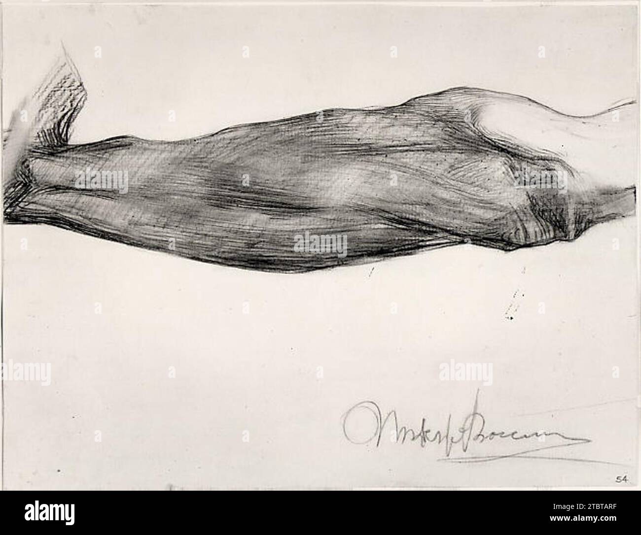 Study of a Man's Forearm (recto); Study of Extended Arms with Hands ...