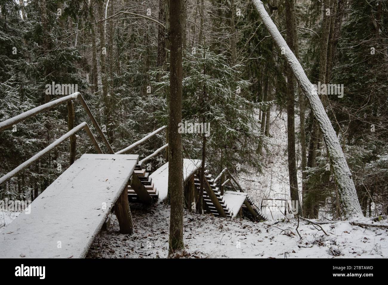 Traverse snow-covered pathways, ascending wooden stairs in Pokainu Mezs ...