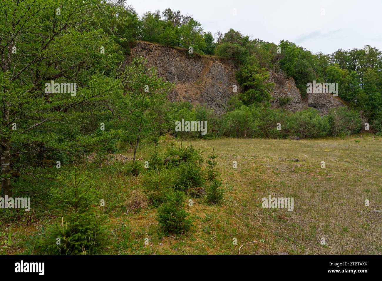 Geotope Bellevue a former basalt quarry at the Kellerstein in the ...