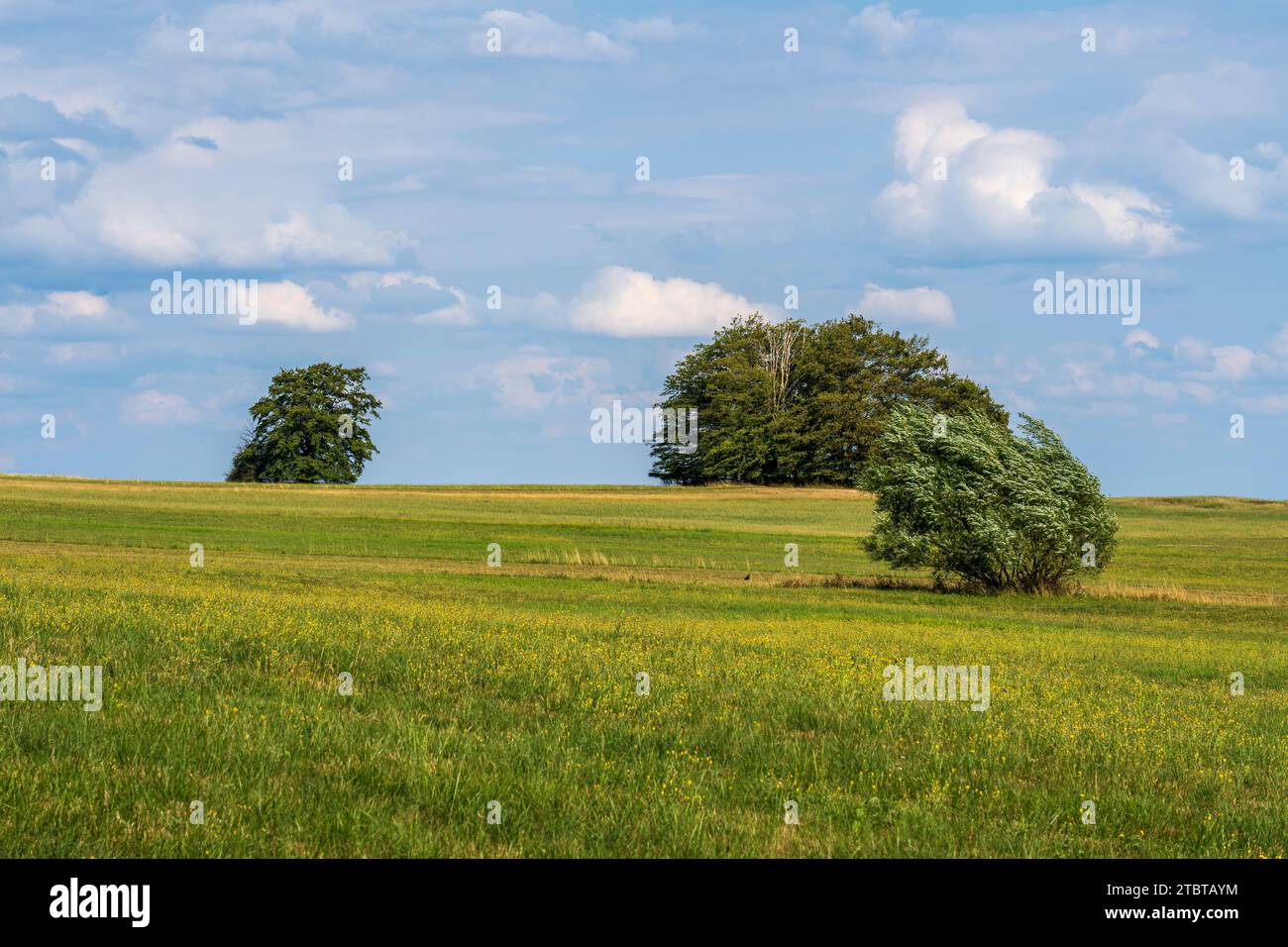 Platzer kuppe hi-res stock photography and images - Alamy