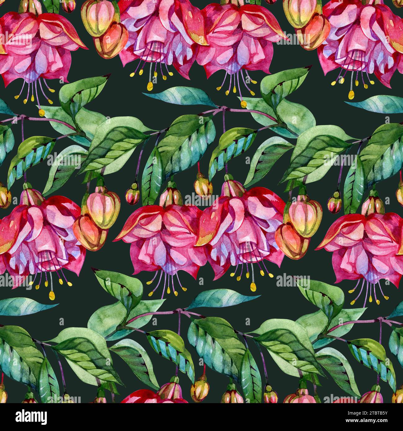Seamless floral pattern in modern style. Fuchsia flowers Watercolor ...