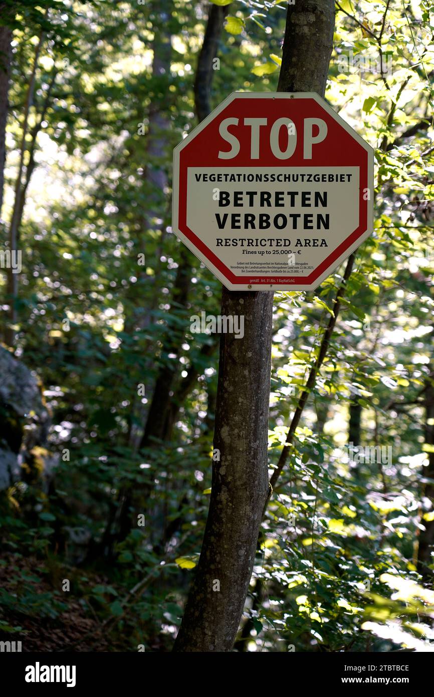 Germany, Bavaria, Upper Bavaria, Berchtesgaden, Schönau am Königssee ...