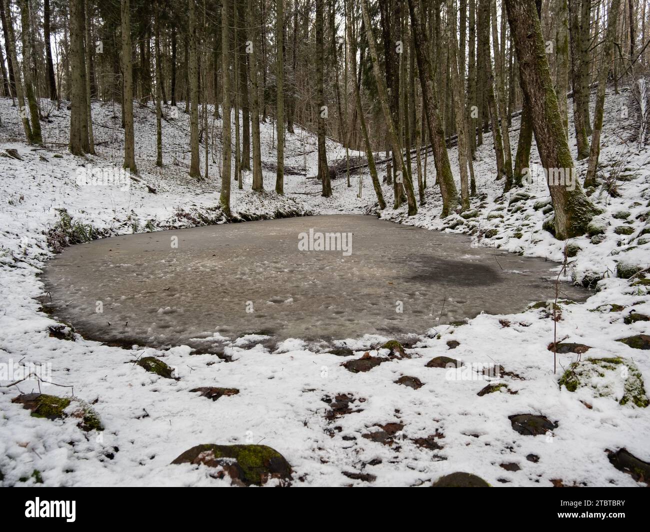 A glimpse of nature's winter artistry—a frozen water puddle quietly ...