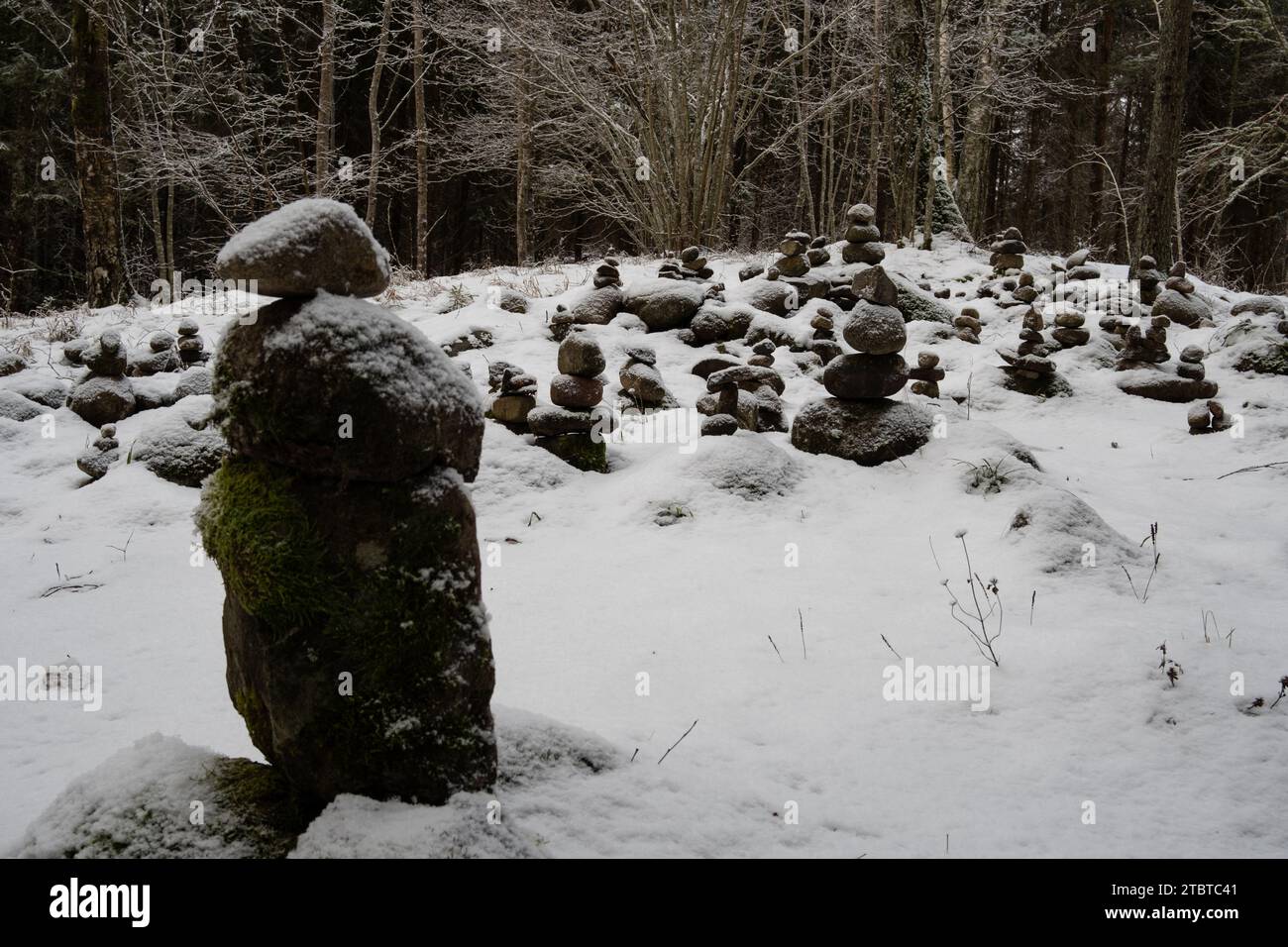 Hidden gems in nature hi-res stock photography and images - Alamy