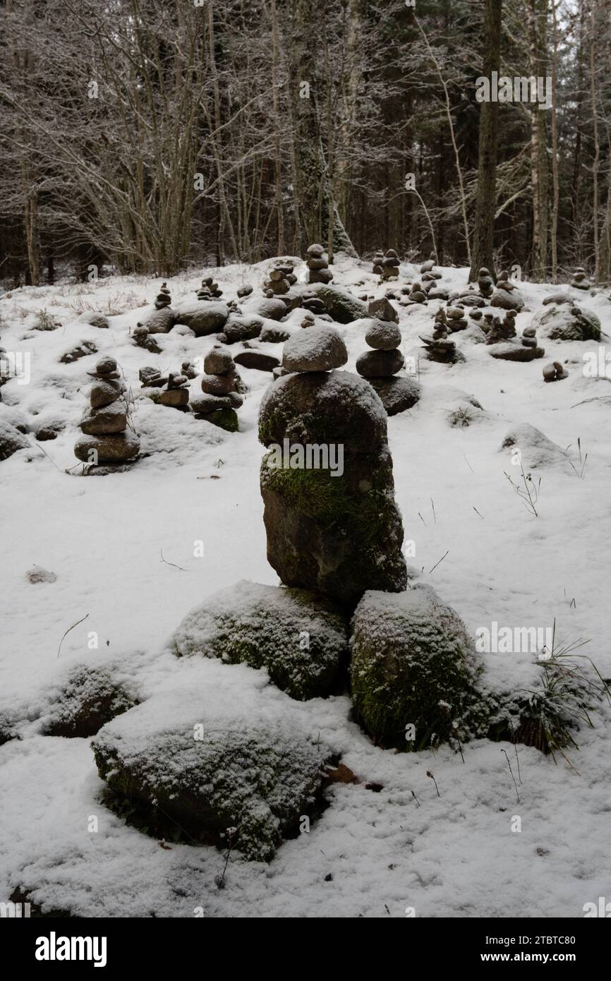 Snow and moss unite upon stacked rocks, creating an ethereal spectacle ...