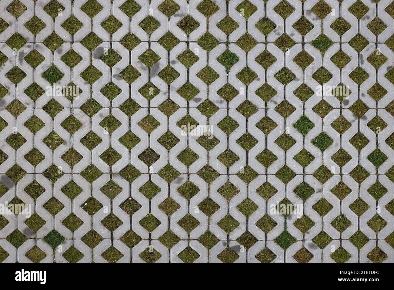 Geometric background of eco floor bricks and green grass. Eco parking ...