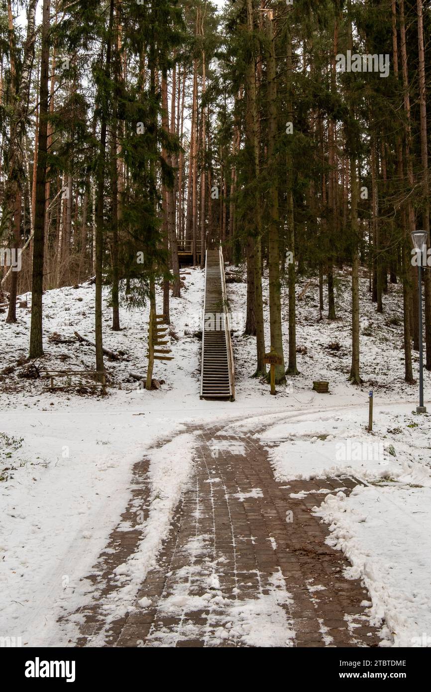 In the heart of winter's beauty lies Tervete's mesmerizing snowy trails ...