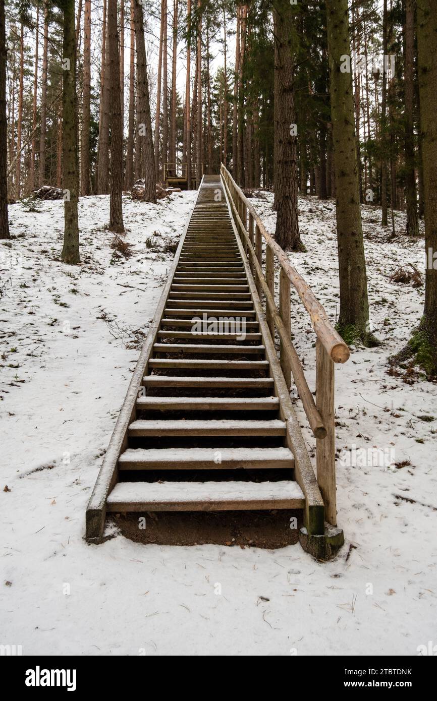 Each step a story: the wooden stairs wind through Tervetes' snowy ...