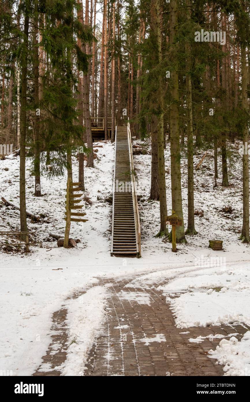 A symphony of snowflakes paints the path through Tervete's magical ...