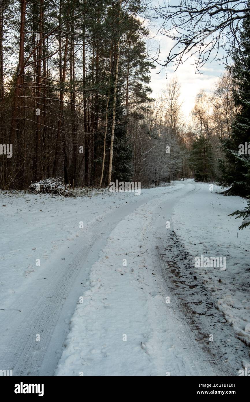 Tire imprints carve stories on this snow-clad road, whispering of ...