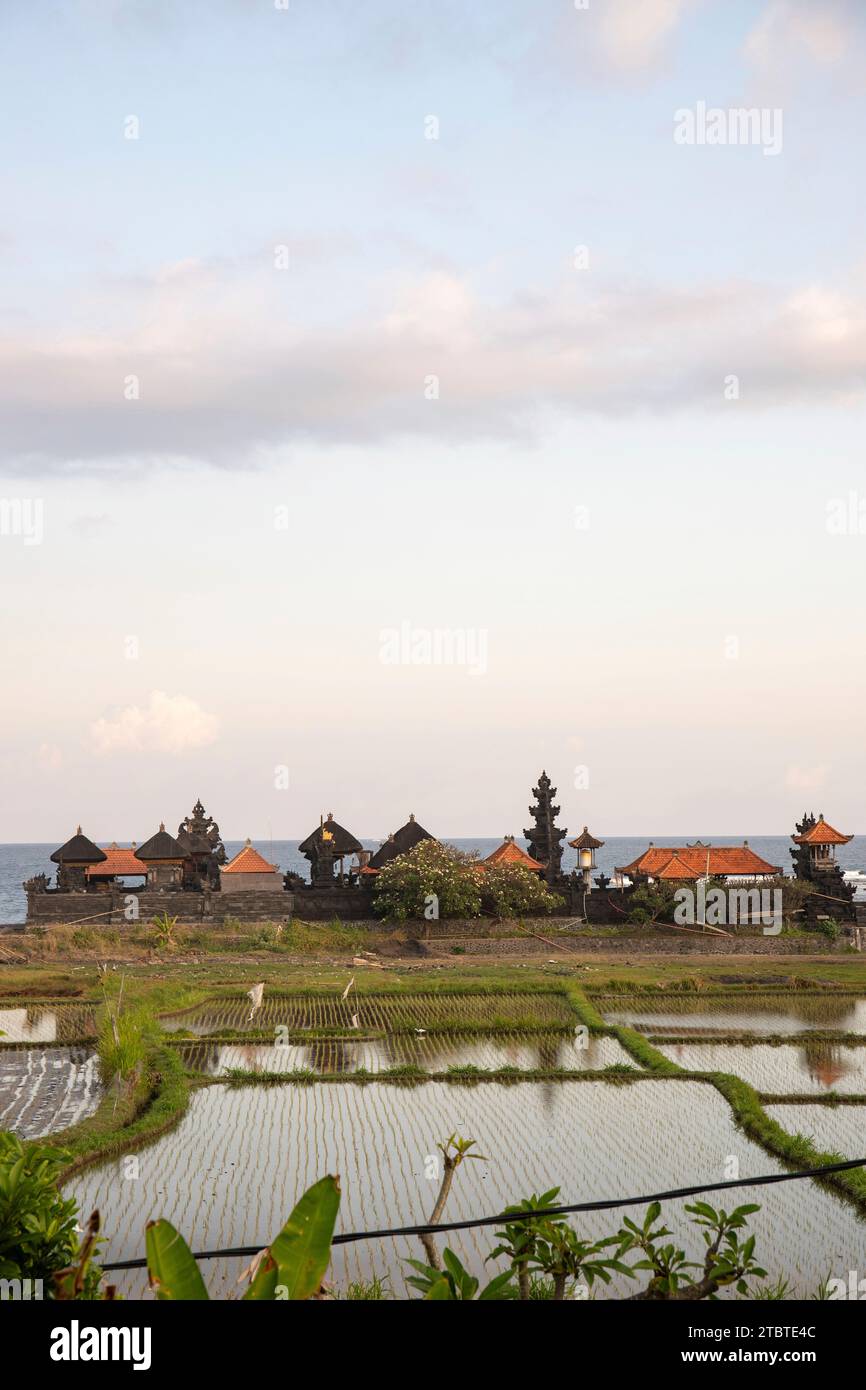 Fish farming in rice paddies hi-res stock photography and images - Alamy