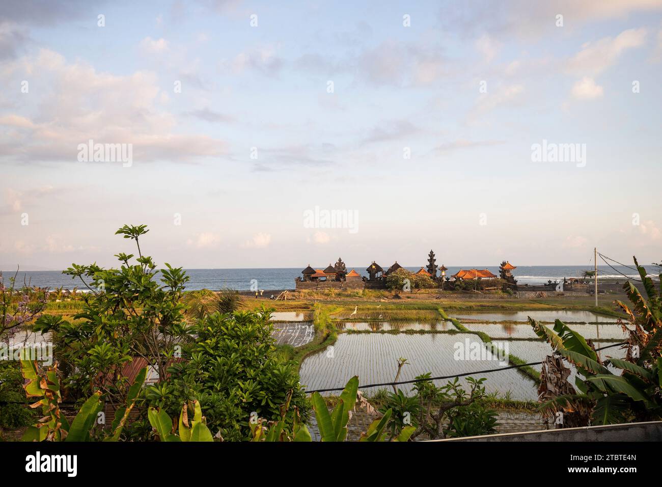 Fish farming in rice paddies hi-res stock photography and images - Alamy
