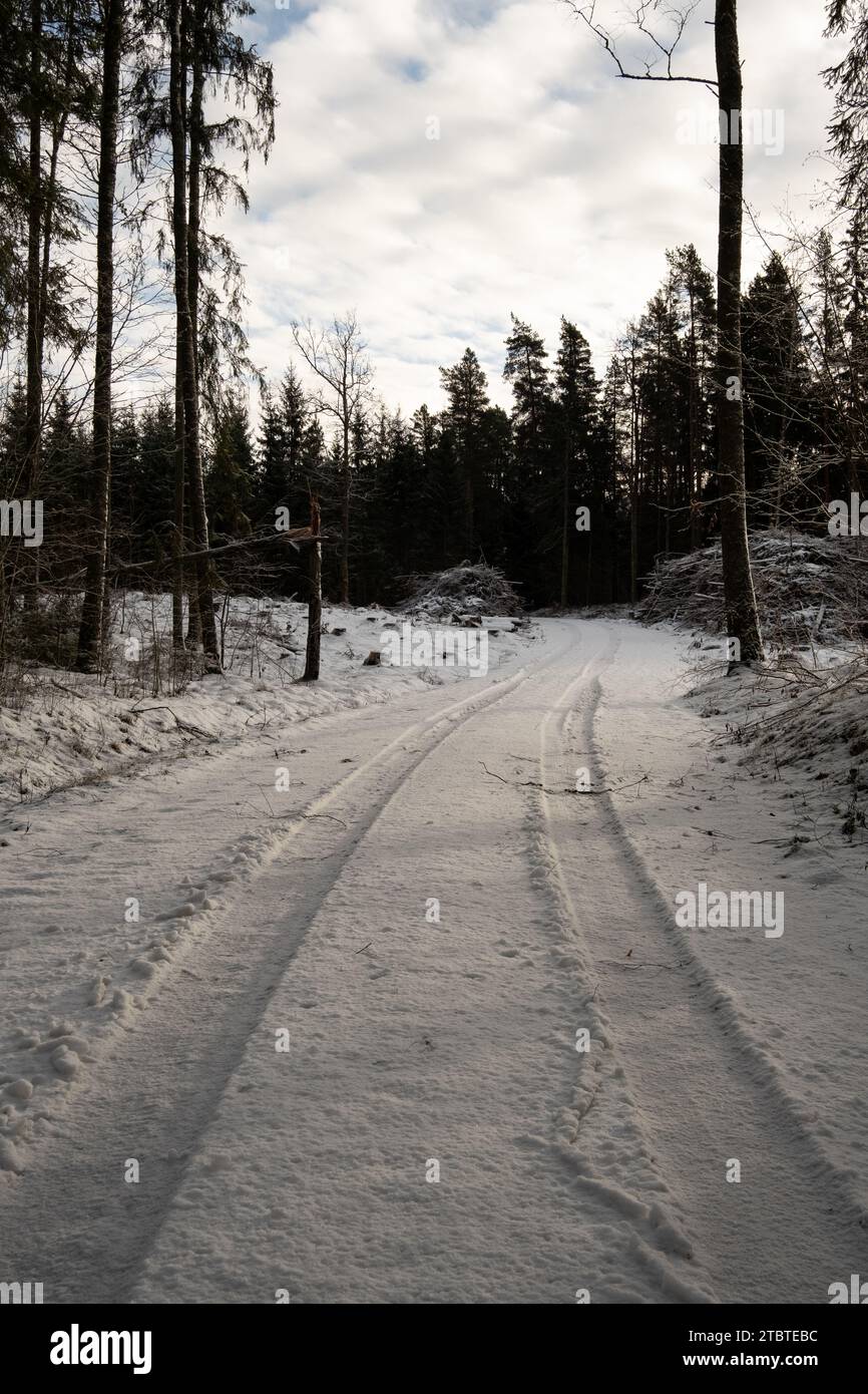 In the snow's embrace, tire tracks map out the passage of wanderers ...