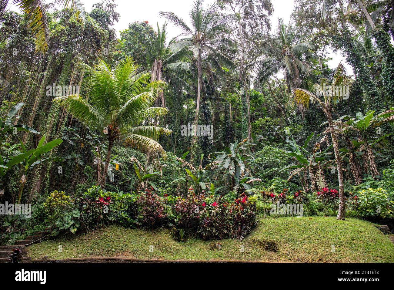Goa Gajah - Elephant Cave, this park-like temple complex offers a great ...