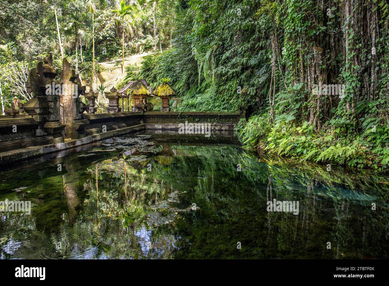 A small temple used for holy ablutions, enchanted and covered in moss ...