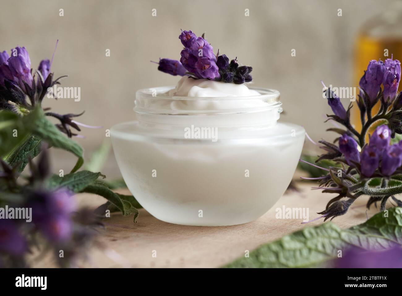 A jar comfrey root ointment with blooming knitbone plant Stock Photo ...