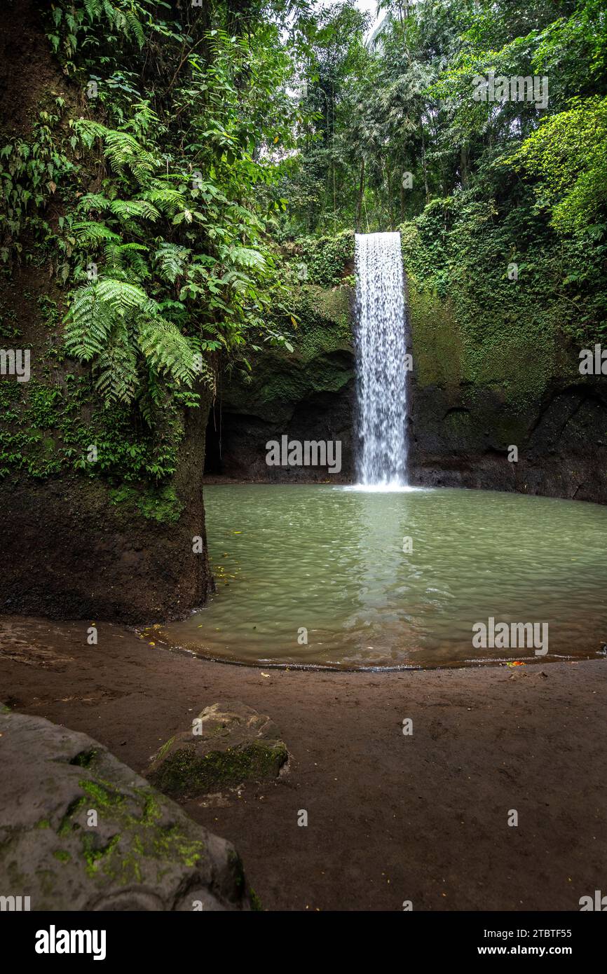 Tibumana Waterfall, a small wide waterfall in a green gorge, the river ...
