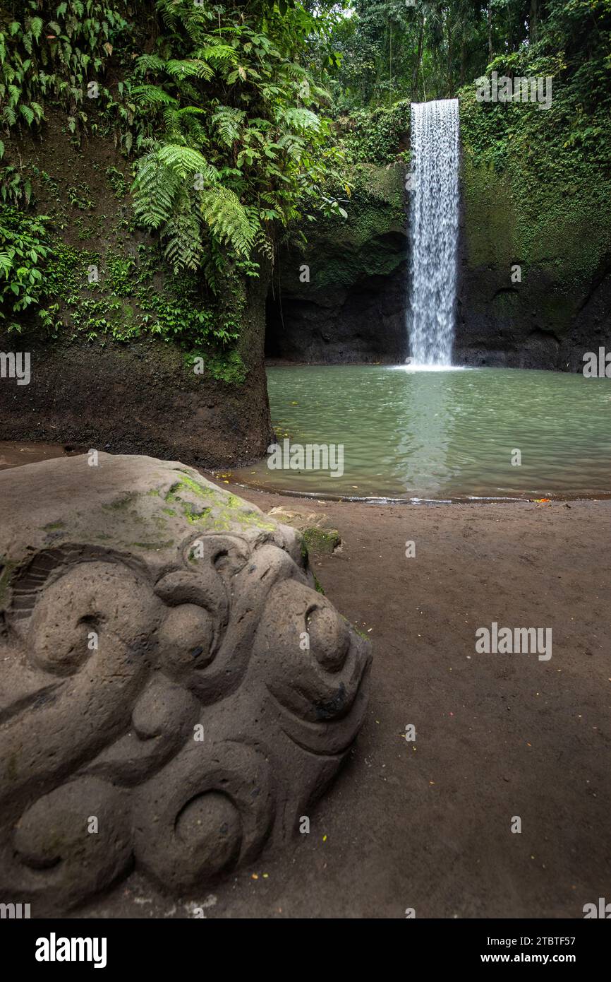 Tibumana Waterfall, a small wide waterfall in a green gorge, the river ...